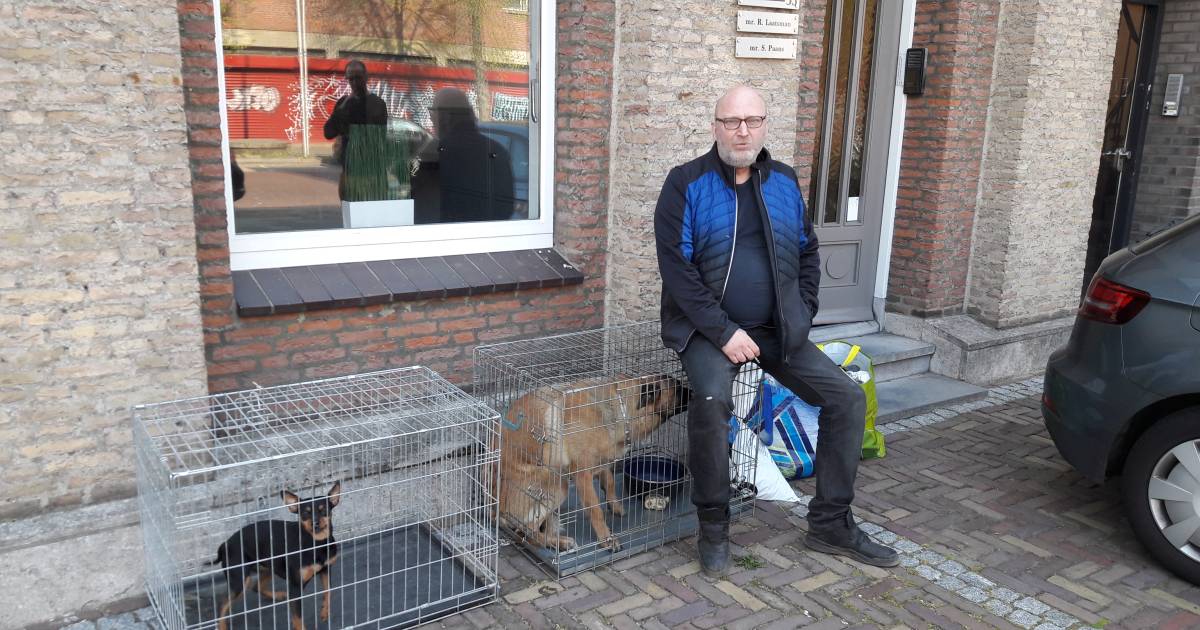 Nieuwsoverzicht | Weer strengere coronaregels voor België - ‘Niemand ...