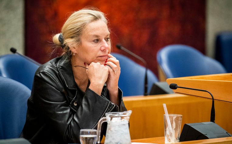 Onderzoek naar langdurige seksuele intimidatie binnen D66 | De Volkskrant Onderzoek naar langdurige seksuele intimidatie binnen D66 | De Volkskrant