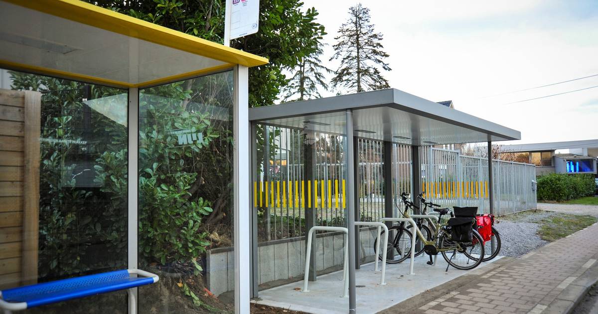 Nieuwe fietsenstalling aan bushalte in Torenstraat | Rotselaar | hln.be