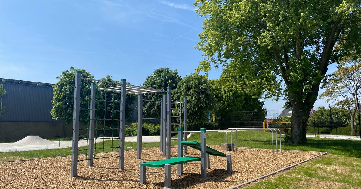 Gemeente en Dilbeekse jongeren creëren samen nieuw barenpark | Dilbeek ...