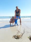 Onderzoek naar ongeval Nick Bril neemt andere wending: verzweeg topchef ...