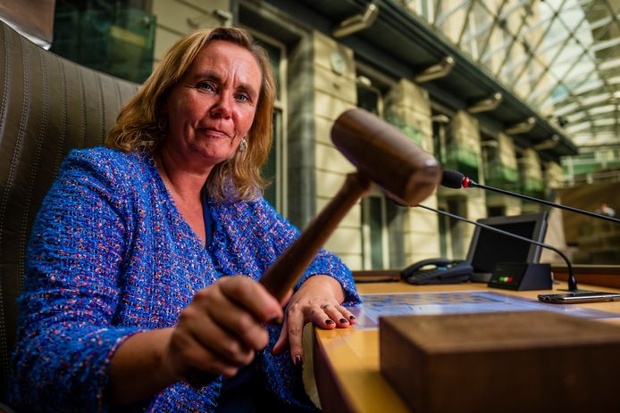 Vlaams parlementsvoorzitter Liesbeth Homans (N-VA): "Zal af en toe wat ...