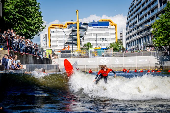 Niet ongevaarlijk en ook niet goedkoop, wél zeldzaam en cool: Rotterdam ...
