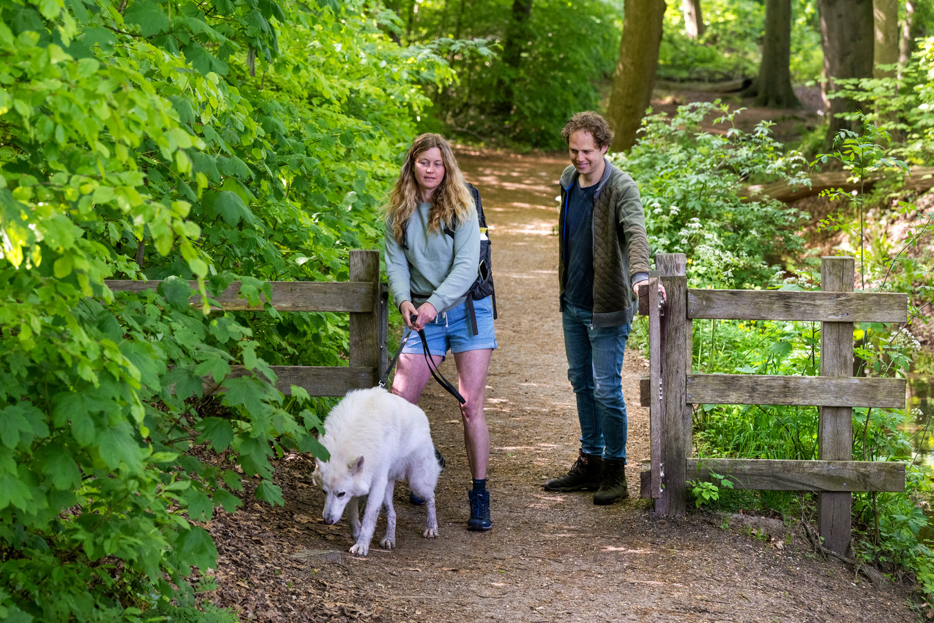 Een te nat voorjaar? De wilde orchidee is het gelukt om toch maar weer ...