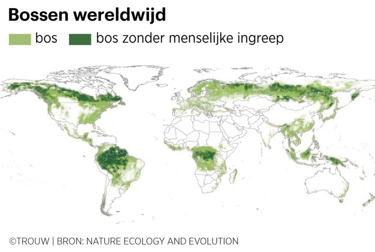 Neerwaartse spiraal in de Amazone: ontbossing betekent minder regen, en ...