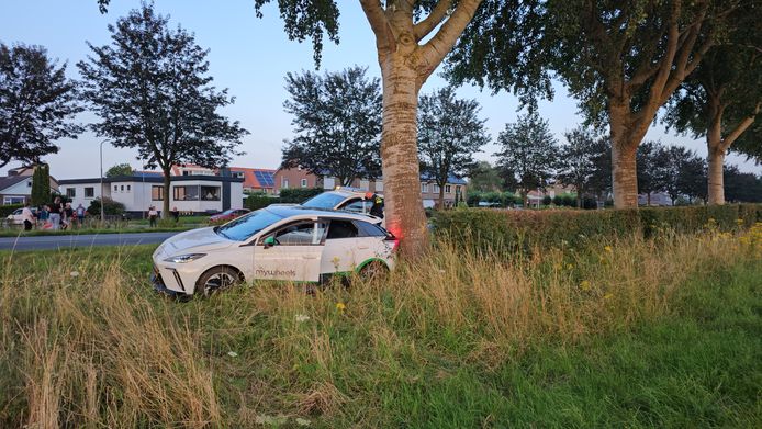 Bestuurder onder invloed eindigt tegen boom in Elburg en krijgt ...