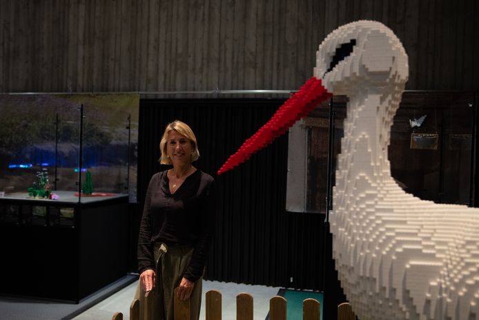 Dieren van het Zwin zijn nagebouwd met 100.000 steentjes: ‘Lego spreekt ...