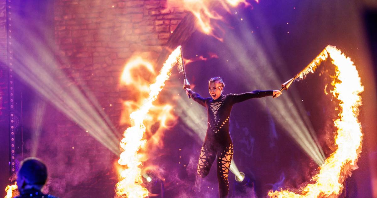 Deze Brabanders zijn vanavond te zien in finale Holland’s got talent ...