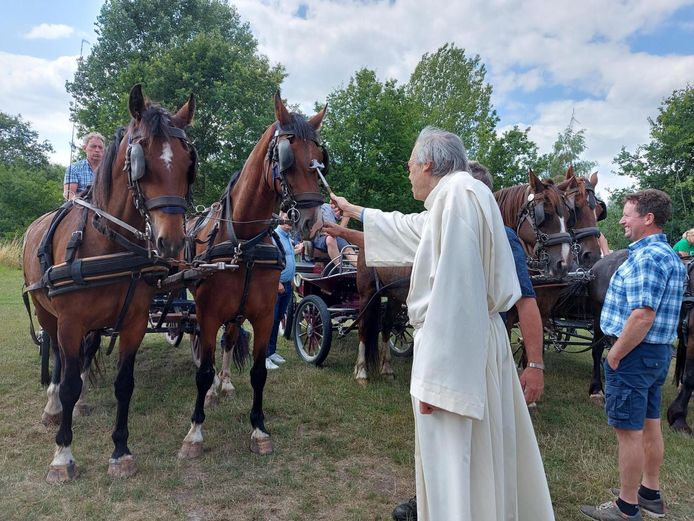 Sint-Elooisprocessie met zegening van honden en paarden | Merelbeke ...