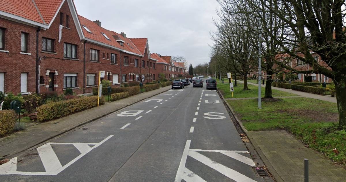 Voetganger die plots rijbaan oversteekt aangereden door buschauffeur De ...