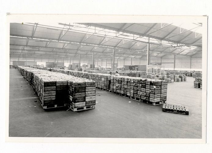 Wat wordt hier aangeboden op een van de grootste veilingen in Breda ...