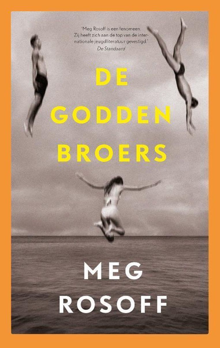 Of de ik-verteller van ‘De Godden broers’ een jongen of een meisje is ...