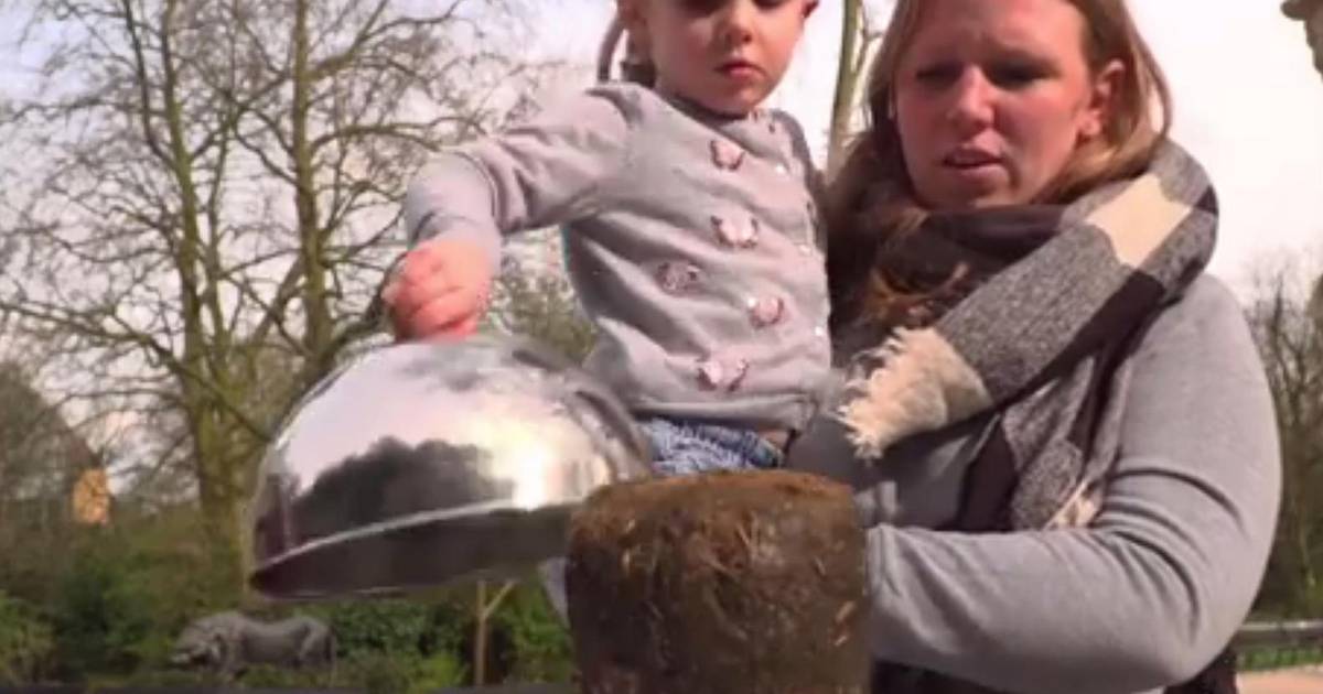 Zoo laat bezoekers poepje ruiken | Antwerpen | hln.be