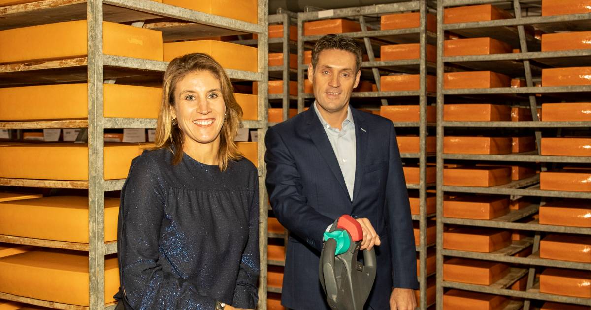 Hoe Vepo Cheese uit Bodegraven in 100 jaar van dorpsmarkt naar mondiale ...
