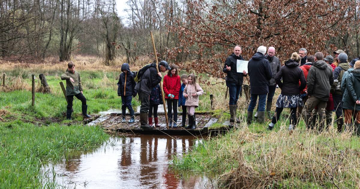 Wandelaars leren over valleiherstel in de Grote Nete tijdens tocht in ...