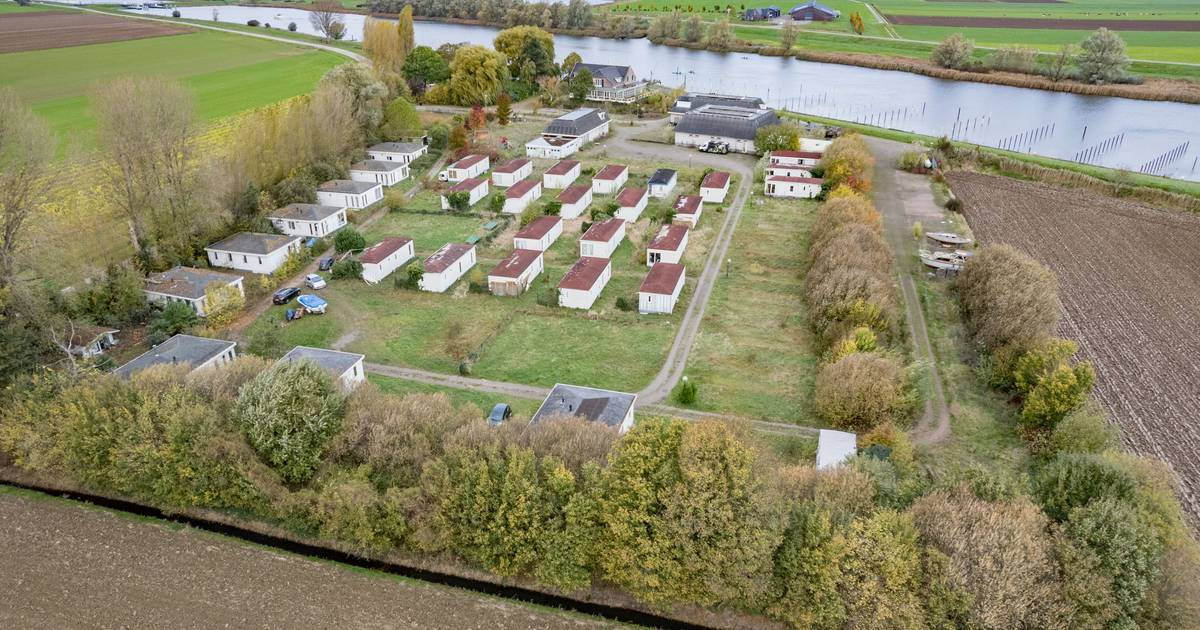 Jachthaven Hermenzeil in beeld voor opvang asielzoekers: ‘Niet ideaal ...