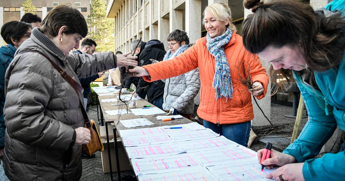 Inwoners reageren massaal op actie ‘Lof voor elke Hof’: stad bedeelt ... Inwoners reageren massaal op actie ‘Lof voor elke Hof’: stad bedeelt ...