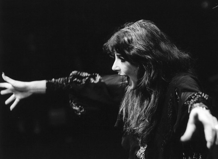Kate Bush heeft (oude) hit te pakken dankzij hitserie ‘Stranger Things’