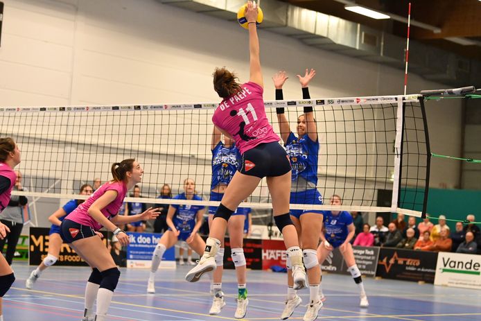 Volleybal: Vijf ploegen uit België krijgen volgend jaar een Europees ...