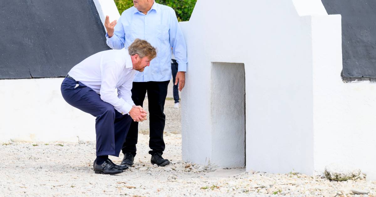 ‘Koning moet diep door de knieën’: experts hekelen ruis rond ...