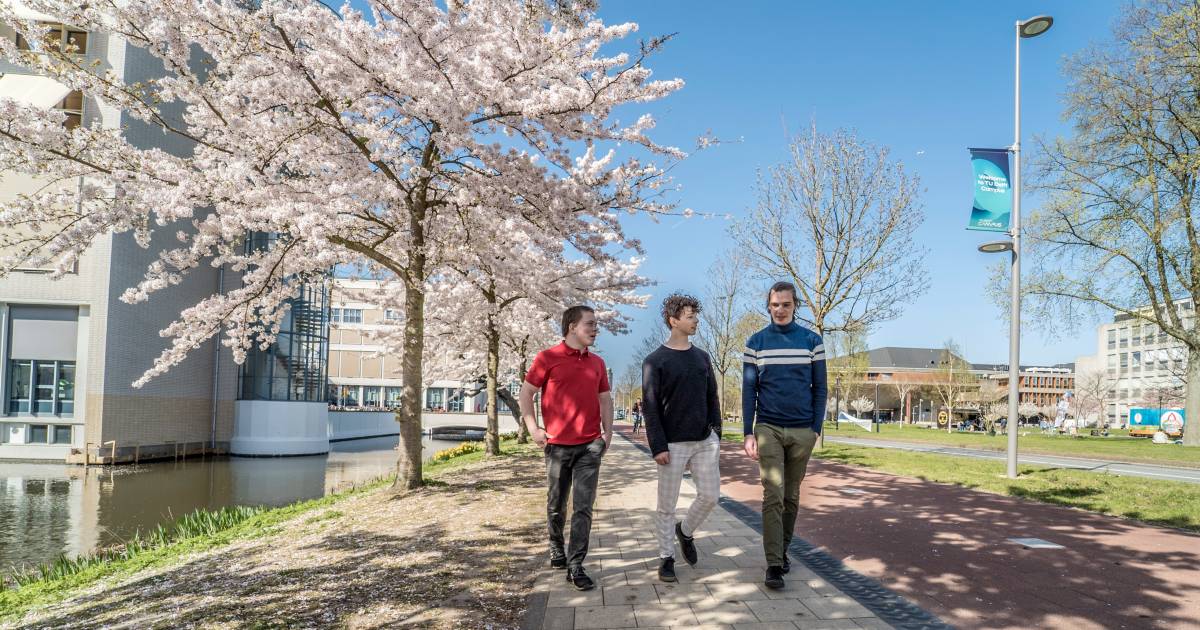 Studiebeurs keert terug, maar is wel verlaagd: wat betekent dat voor ...