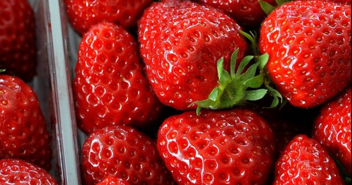 La récolte de fraises trois semaines plus tôt et les prix moins hauts ...