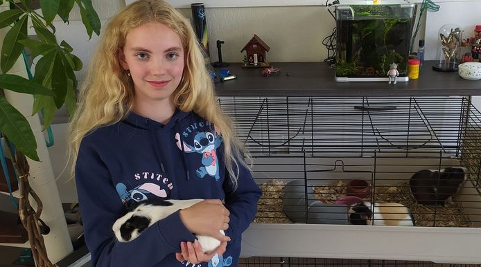 Niks vakkenvullen: Fenne (14) heeft een bijzonder vakantiebaantje als ...