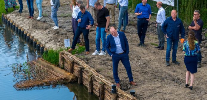 Proef in Hellouw: kun je met wilgentenen goed de oevers beschermen ...