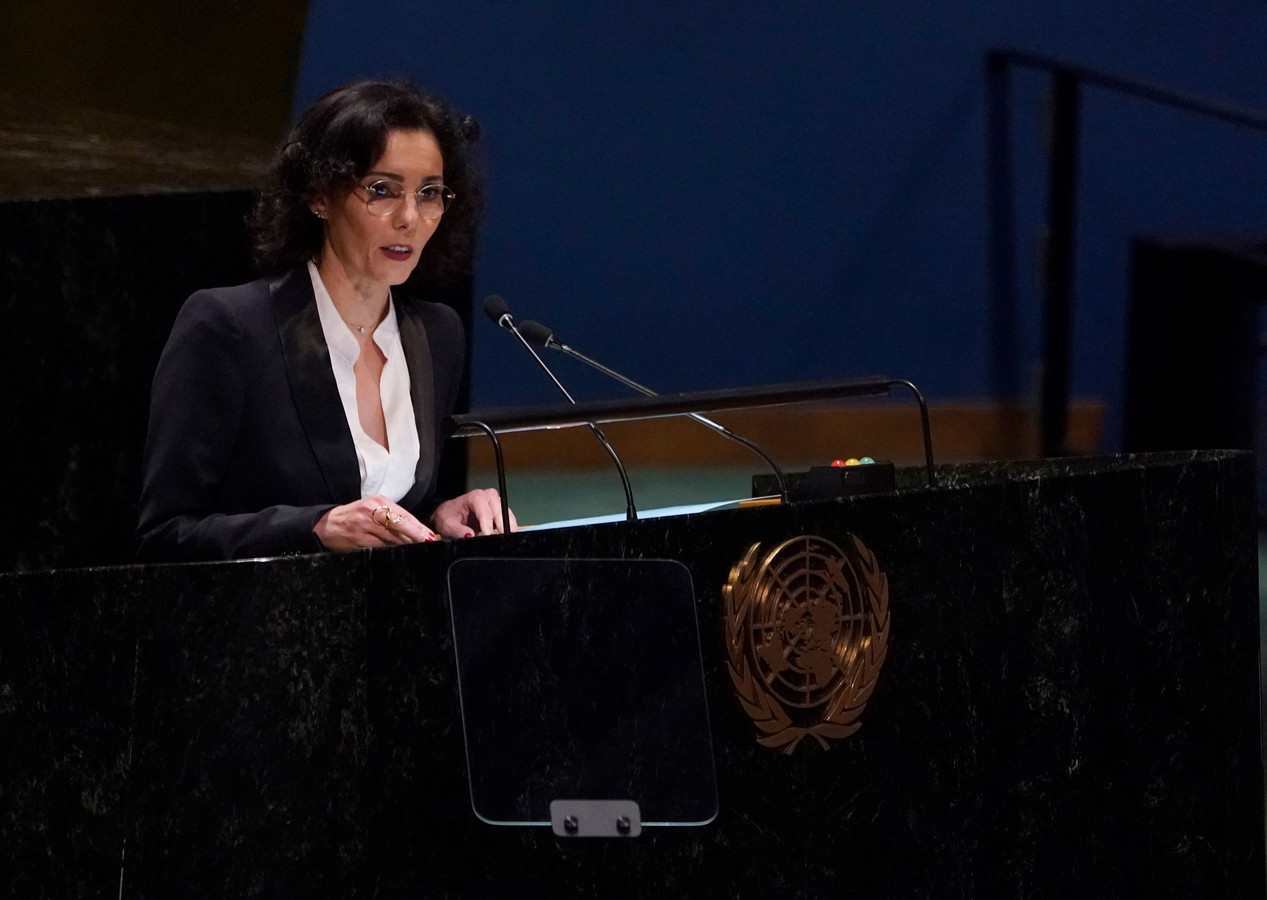 Lahbib roept Rusland op tot onmiddellijke terugtrekking | Foto | hln.be