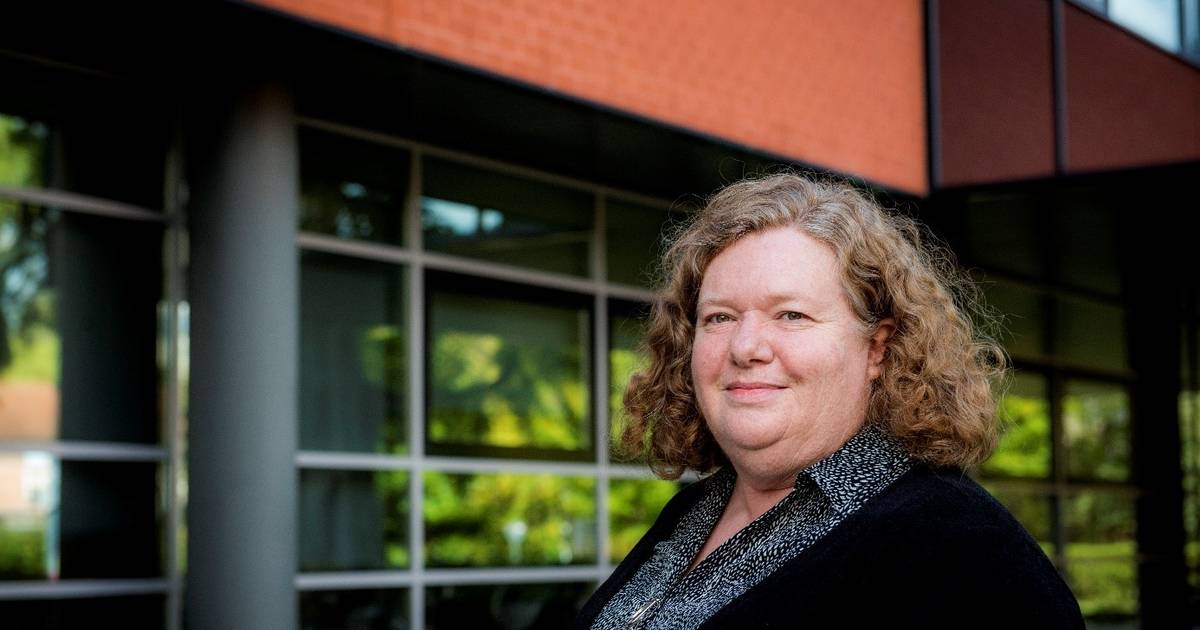 Wat zijn de 5 troeven van een ICT-job bij De Lijn voor Hilde? | Werk ...