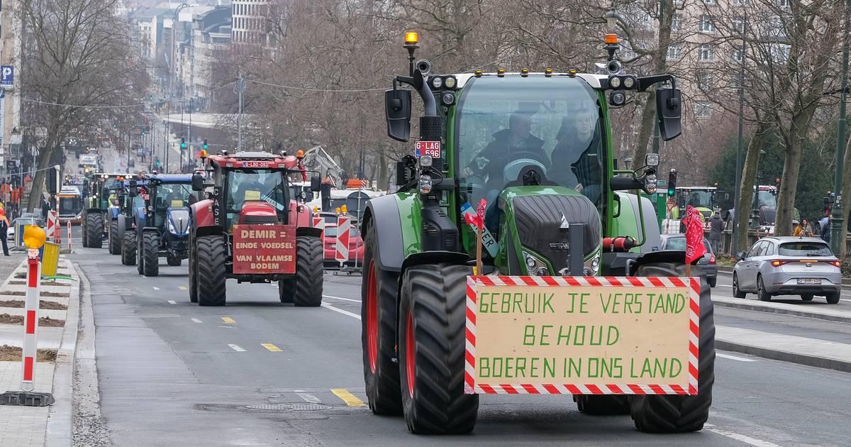 3000 boeren leggen hoofdstad lam tijdens protest: “We vinden dat we ...