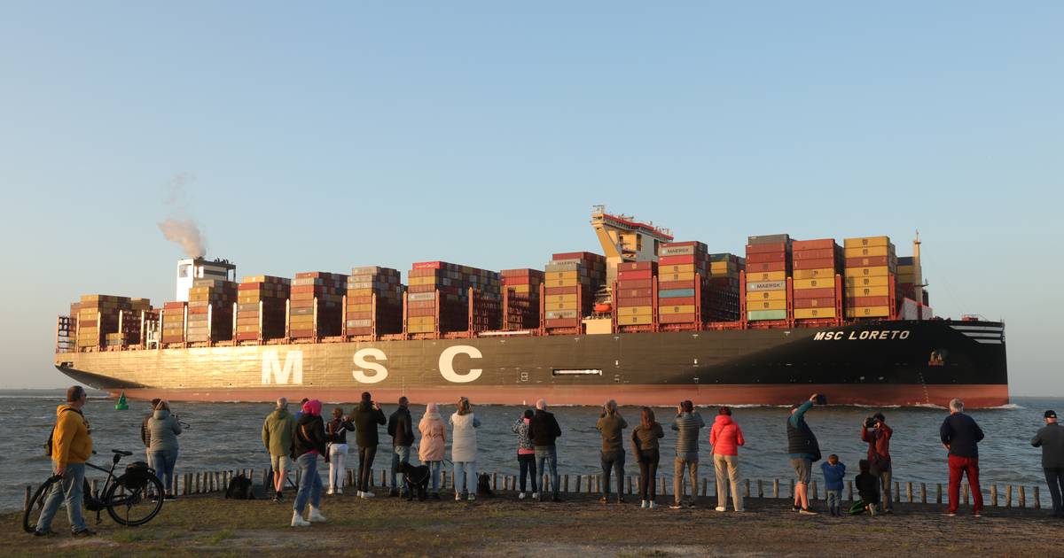 ‘MSC Loreto’ verbreekt record als grootste containerschip: “Dit soort ...
