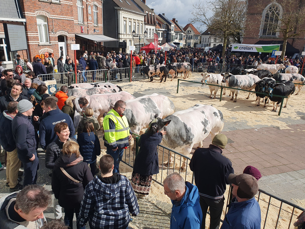 IN BEELD. Vette Veemarkt lokt massa volk: “Blijft een hoogdag voor ...