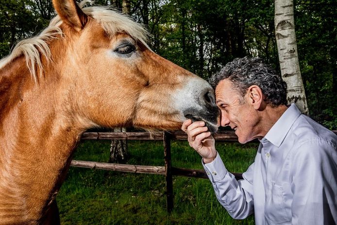 Wat als je vrouw paardengek is? Paardencabaret over hoe je een hippisch ...