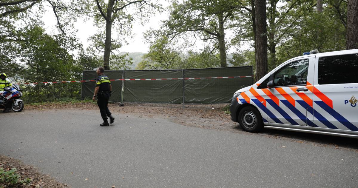 Gevonden dode vrouw in bos is 75-jarige vermiste uit Halsteren, politie houdt alle scenario's ...