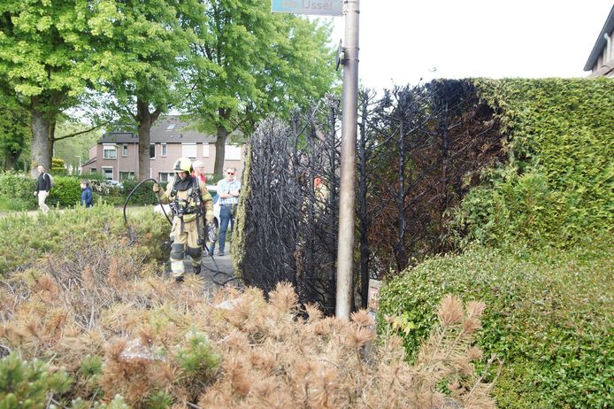 Coniferenhaag in voortuin deels afgebrand in Drunen | Heusden | AD.nl