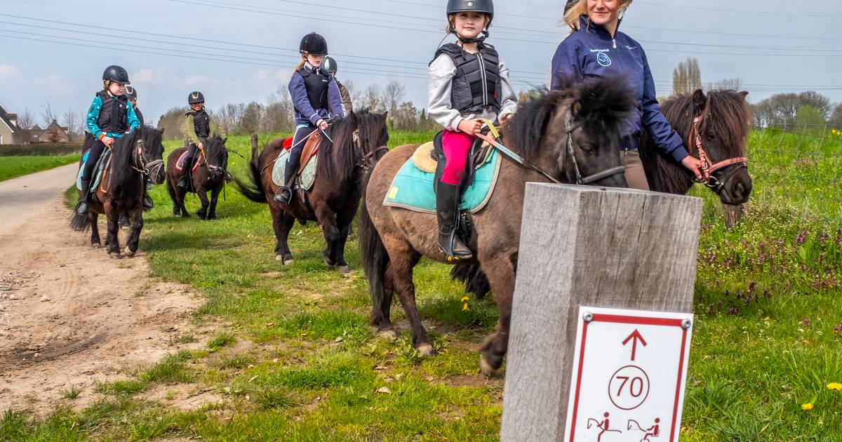 Een ruiterpad van 120 kilometer, dwars door De Maasheggen | Land van ...