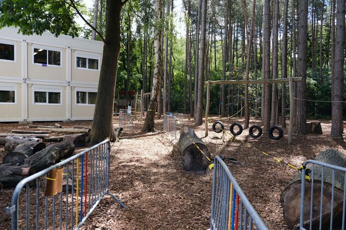 Directeur basisschool zit verveeld met petitie tegen kap van veertig bomen voor uitbreiding De ...