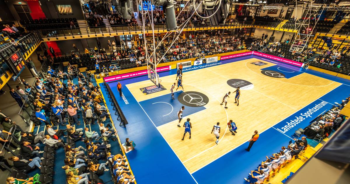 Landstede Hammers Regio Zwolle wil graag naam maken in Europe Cup ...