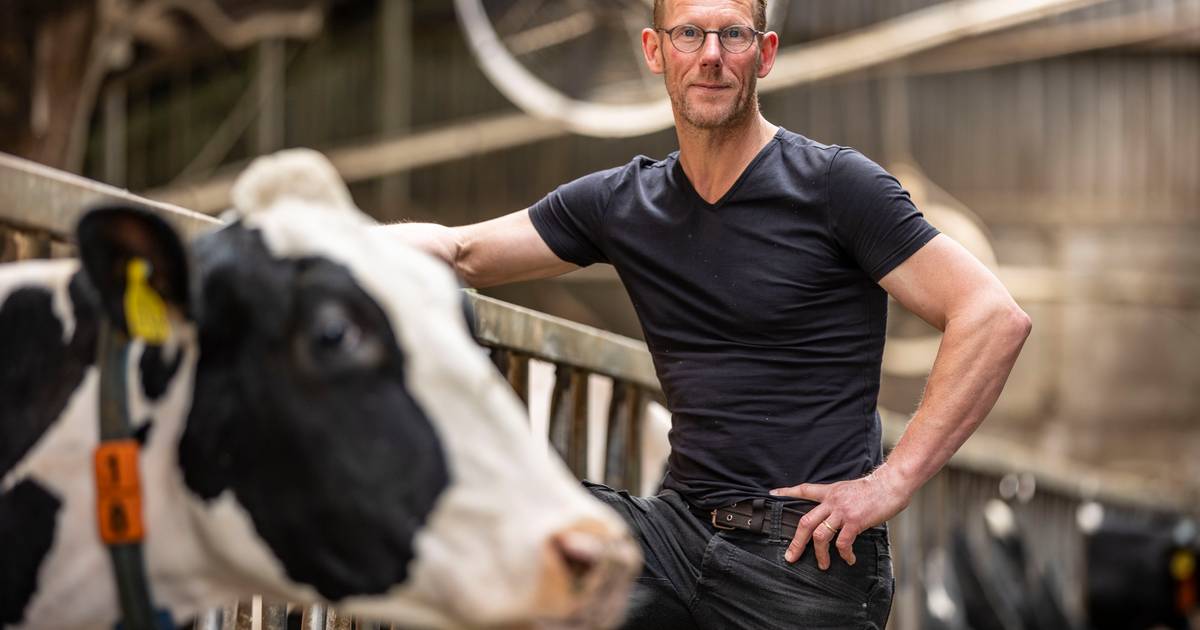 Strijdvaardige boer Bert uit De Lutte vreest voor de toekomst van zijn ...
