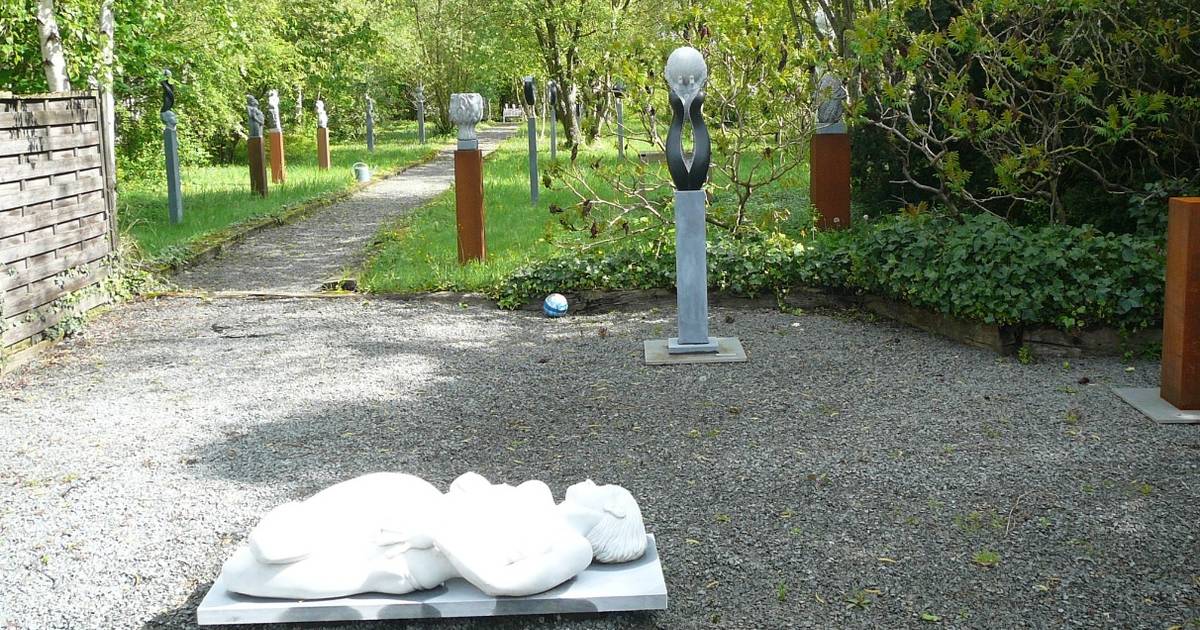 Wilfried Jacops toont kunst tijdens opendeurdagen | Lebbeke | hln.be