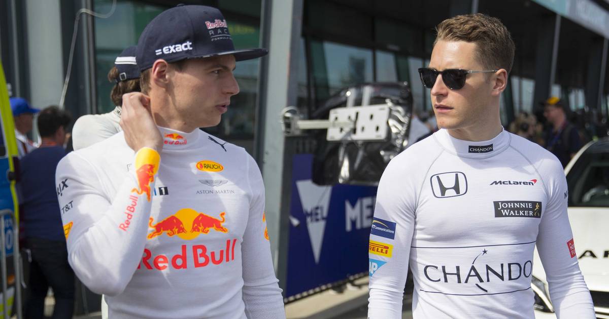 Waarom Stoffel en Max zelfde strijd aan het voeren zijn en welke de ...