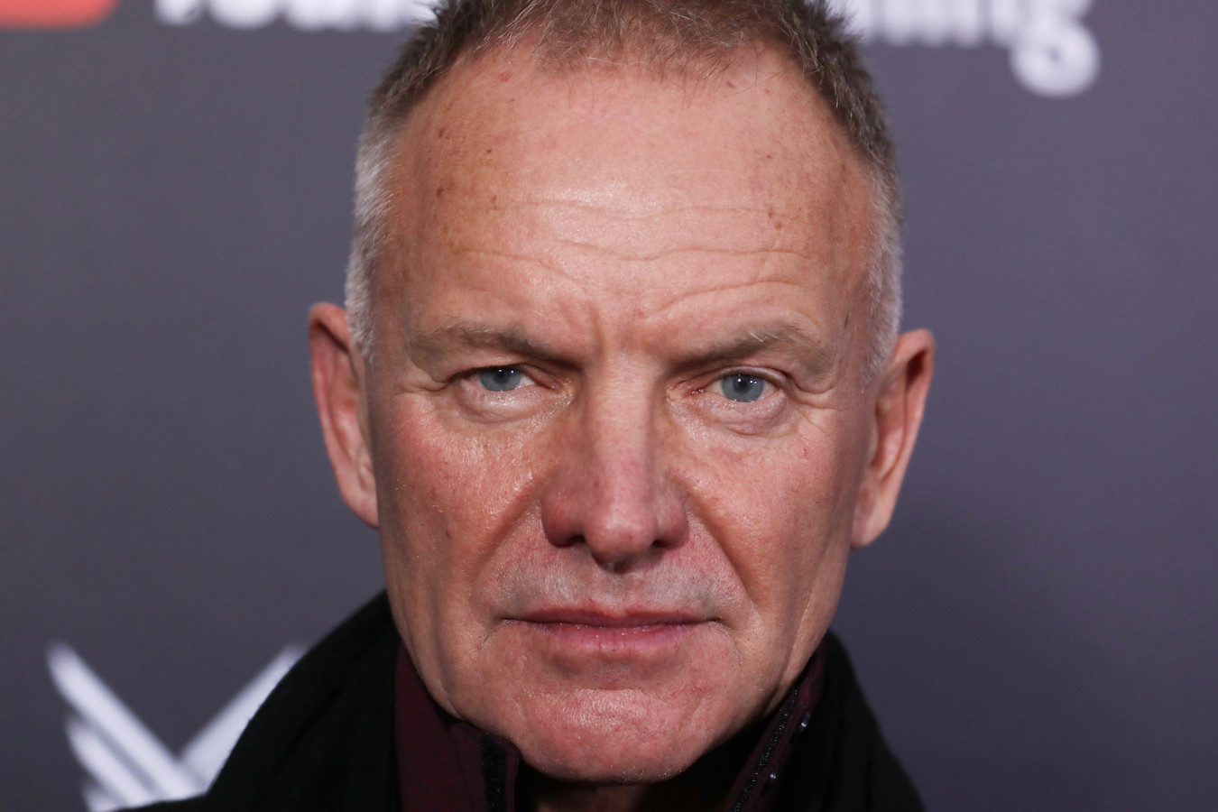 Sting staat weer in AFAS Live in Amsterdam | Foto | bndestem.nl
