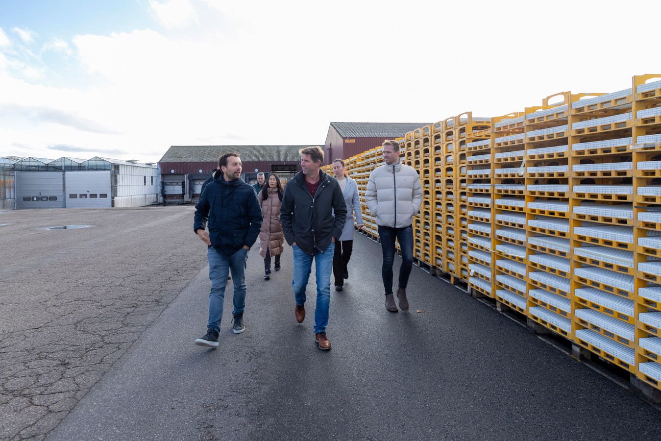 ‘Inburgeringscursus’ voor de glastuinbouw: ‘Als nieuwkomer kan het ...
