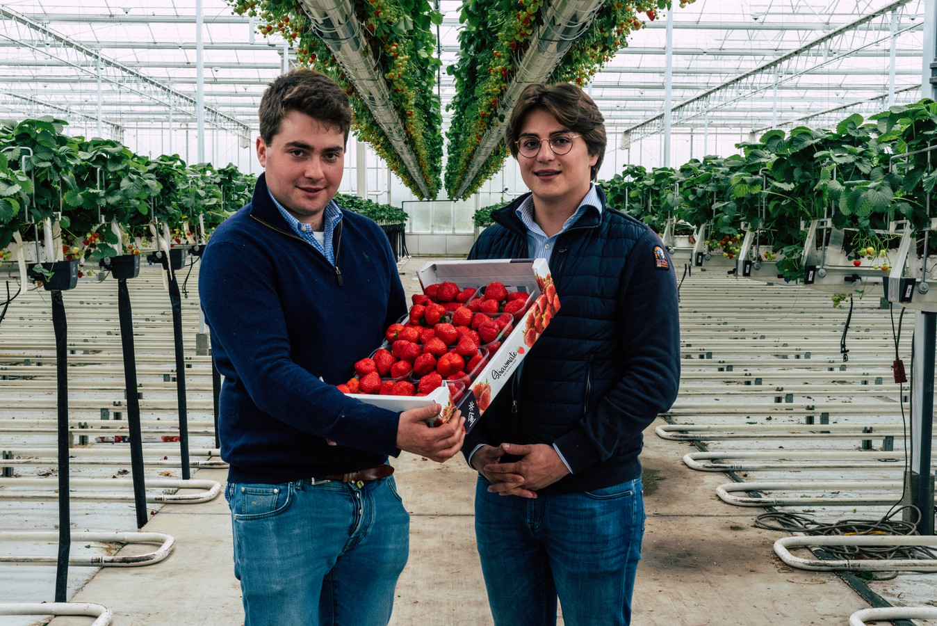 Strawmate biedt de klok rond verse Belgische aardbeien aan | Foto | hln.be