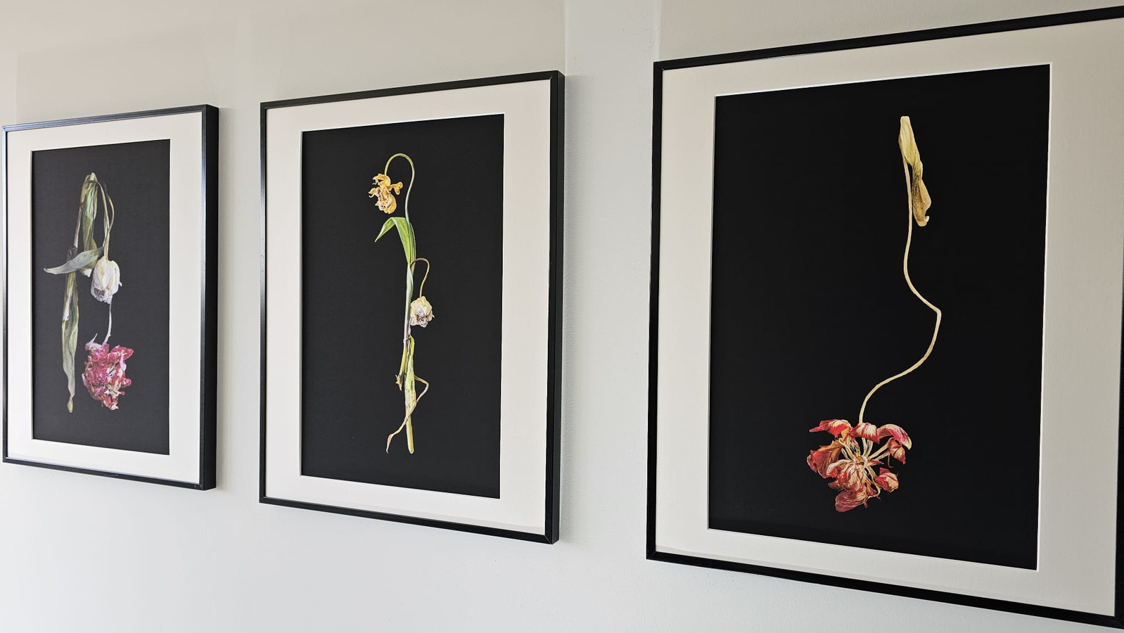 Fotografen uit de regio bundelen hun krachten in pop-upevent PuurKunst ...