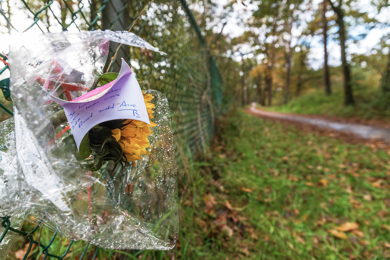 Michael P. verborg lichaam Anne Faber eerst op andere plek | Foto ...