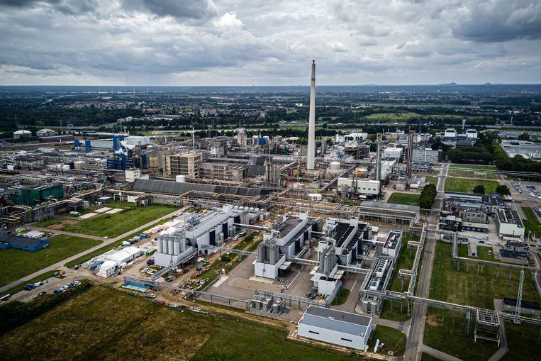 DSM gooit het roer om: materialentak in etalage, verder met voeding en ...