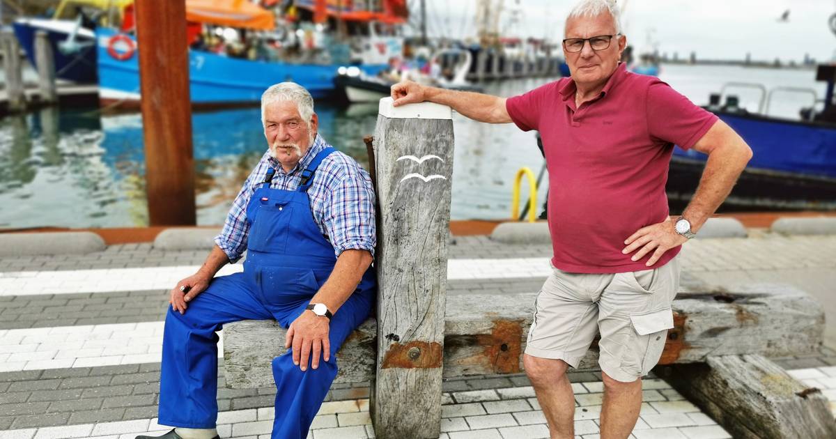 VVV weg? In Breskens is er wat op gevonden: bankjes van meerpalen met ...