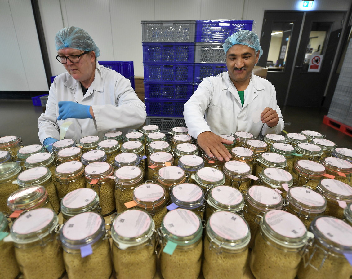 Van topjaar naar dieptepunt: Orionis ziet winst verdampen | Foto | pzc.nl